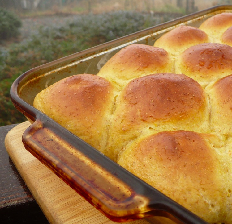 Winter Squash Rolls – Fresh Bites Daily