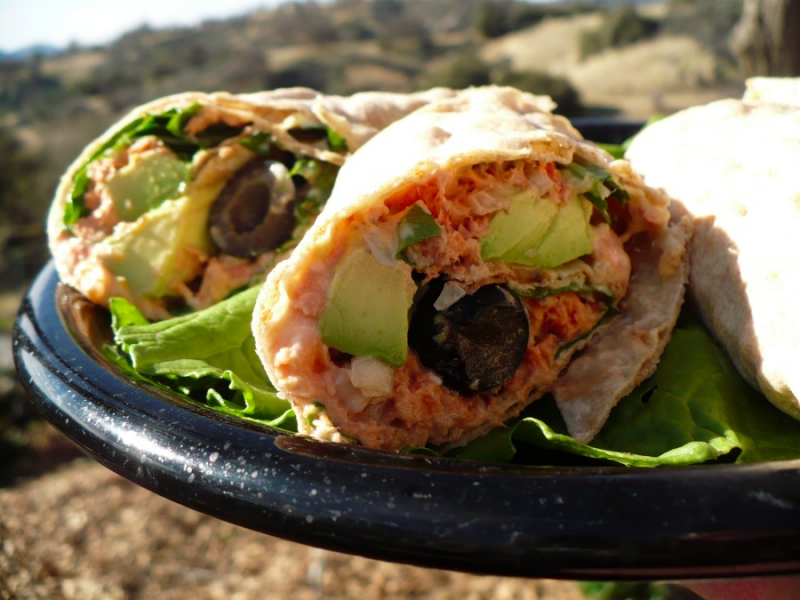 Some of the best road food around in this salmon wrap – Fresh Bites Daily