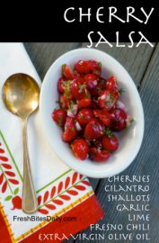 A Cherry Salsa Recipe To Delight Your Senses! – Fresh Bites Daily