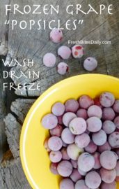 Bite-Sized Grape “Popsicles” – Fresh Bites Daily