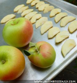 Freezing apples! Which to freeze? Do you add lemon? Inquiring minds ...