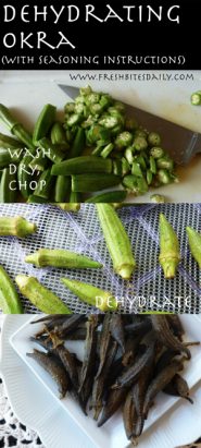 Dehydrating Okra (with an Okra Snack Recipe) – Fresh Bites Daily