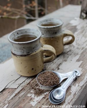 Caraway Tea: An Ancient Remedy for Digestive Problems, in a Warm Cup ...
