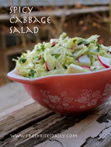 This cabbage salad is light, bright, and fresh with a delicate ...