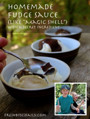 A homemade ice cream fudge sauce (a “Magic Shell”) – Fresh Bites Daily