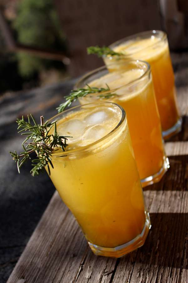 Fruity Rosemary Spritzer – Fresh Bites Daily