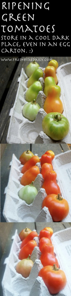 A super simple strategy for ripening your tomatoes – Fresh Bites Daily