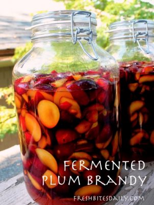 This fermented plum brandy will change the way you think about your ...