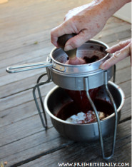 Gooseberry Sampling (and a Syrup Recipe) – Fresh Bites Daily