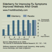 Your handy elderberry “flu shots” and what research says about using it ...