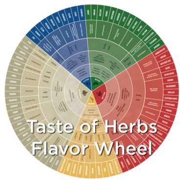The Taste of Herbs Flavor Wheel – Fresh Bites Daily