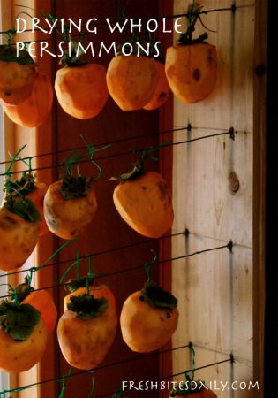 Dry your persimmons in slices and check out how our neighbor dries them ...