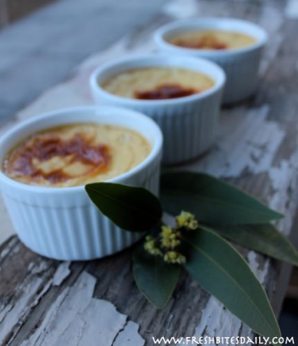 Try some of these bay leaf uses. You’ll be amazed. – Fresh Bites Daily