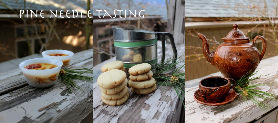 Have you ever tasted pine needles? Here you go… – Fresh Bites Daily