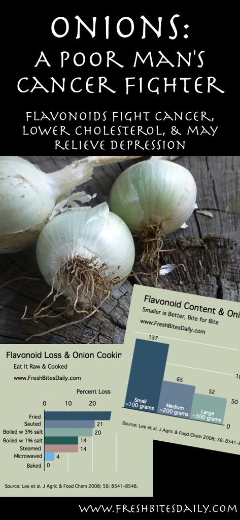 Onions: An under-appreciated antioxidant food, learn why – Fresh Bites ...