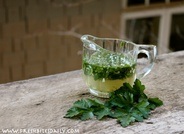 Parsley dressing: Add brightness to your meal, even on a dreary winter ...