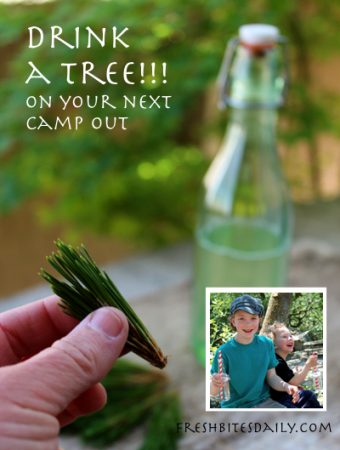 “Drink a tree” on your next camping trip, recommend the Half Pints ...