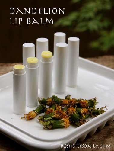Best lip balm for dry lips from a common flower! – Fresh Bites Daily