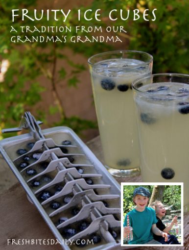 Fruity ice cubes — A tradition from our grandma’s grandma – Fresh Bites ...