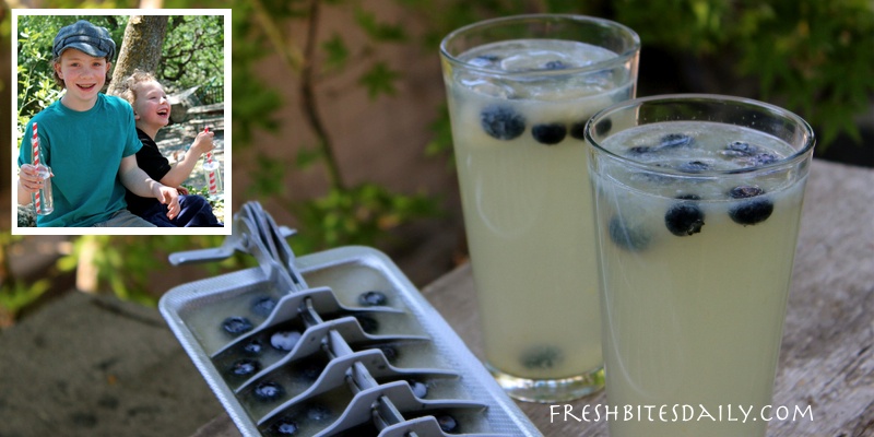 Fruity ice cubes — A tradition from our grandma’s grandma – Fresh Bites ...
