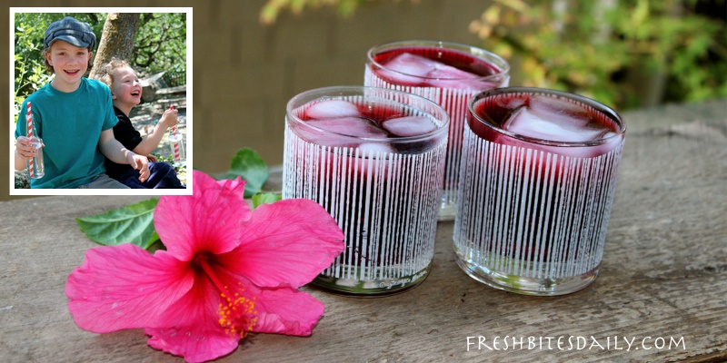 Agua de jamaica — A hibiscus punch for a hot summer day – Fresh Bites Daily