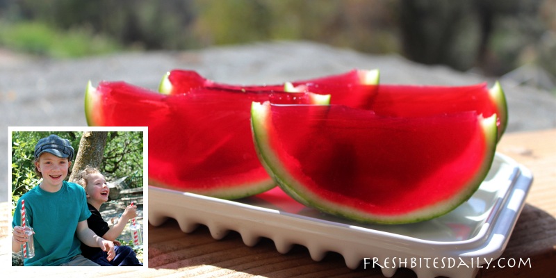 Watermelon “jello” mold: So much summertime fun! – Fresh Bites Daily