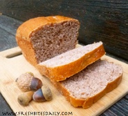 The Acorn Harvest: Acorn Foraging and Recipes – Fresh Bites Daily