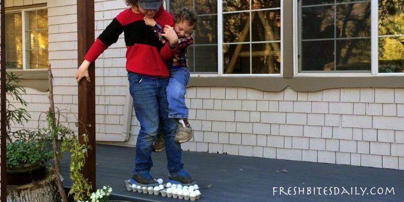 What would happen if you actually walked on eggshells? – Fresh Bites Daily