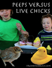 What looks better on a cupcake: A Peep or a live chick? Plus a Peeps ...