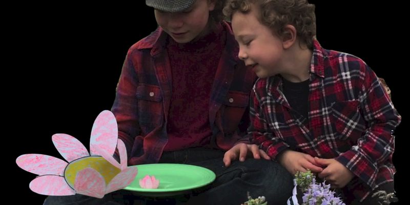 Paper flowers bloom before your eyes (a springtime science project ...